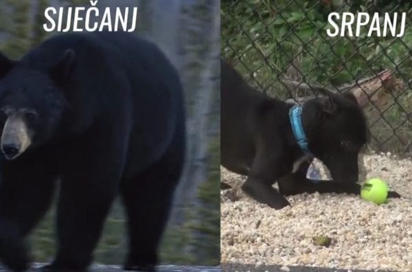 NewsBar | Pametnome dosta