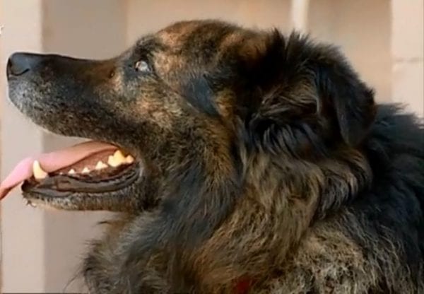 NewsBar | Pametnome dosta